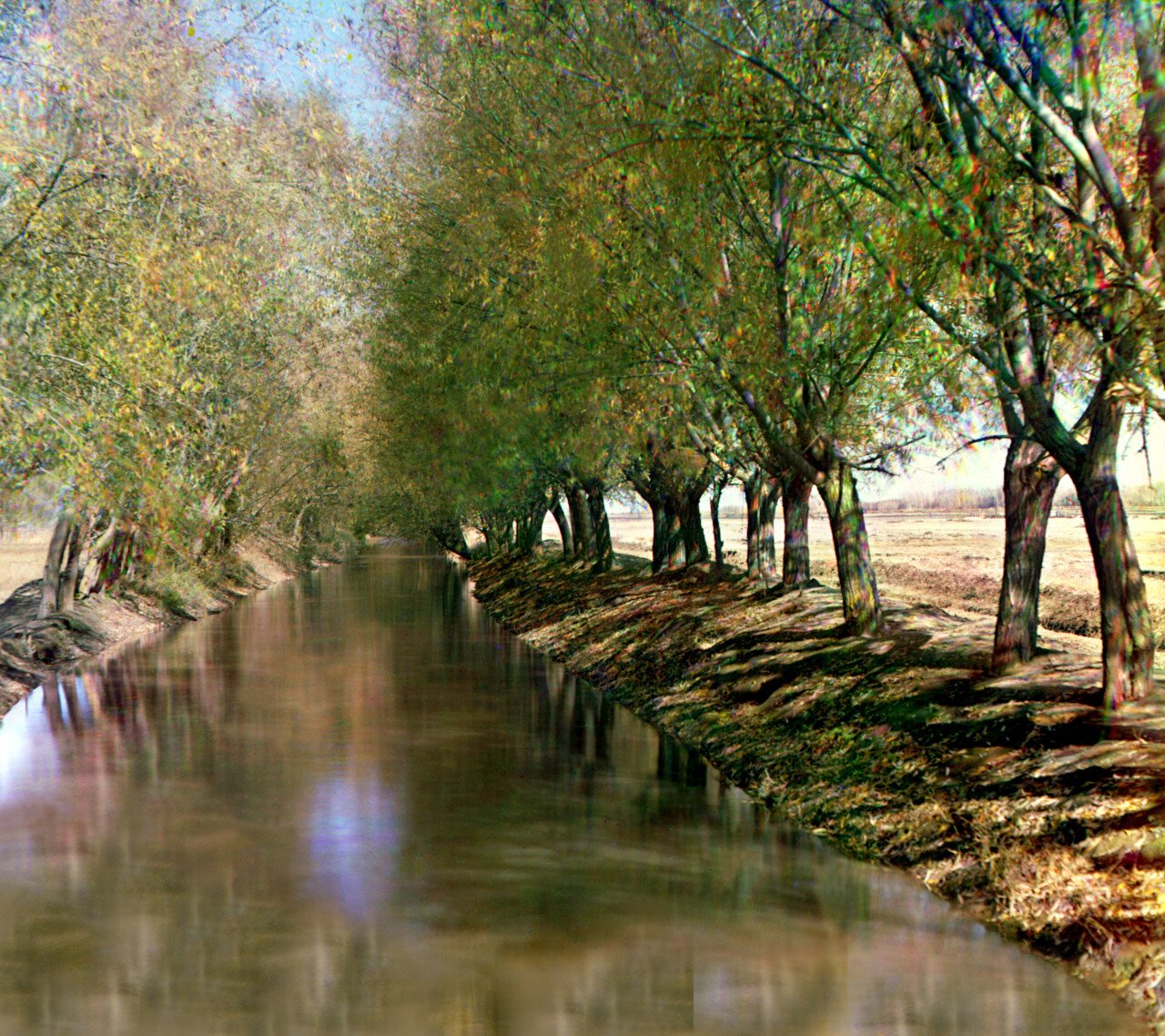 Пашазадинский оросительный канал, снабжавший водой имение великого ...