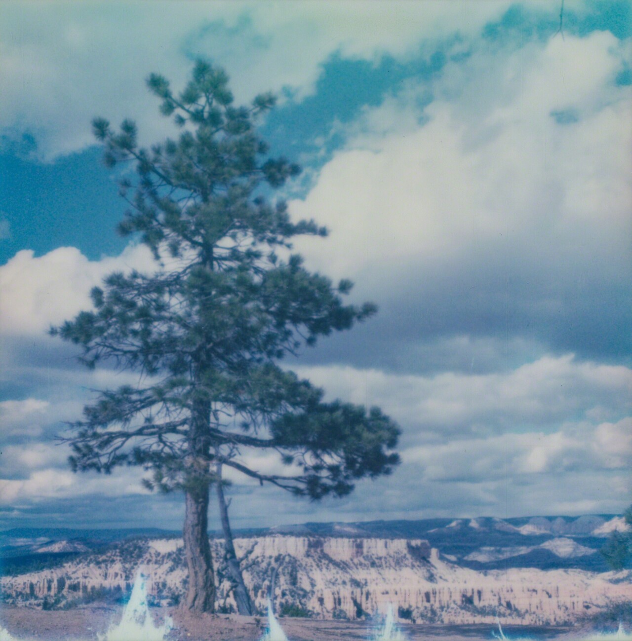 Bryce II, пейзаж, 2017, полароид, фотограф Кирстен Тис ван ден ...