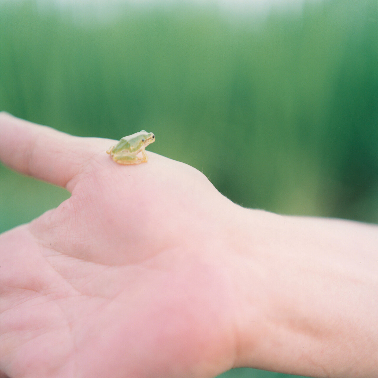 Серия Освещение, 2011 год. Фотограф Ринко Каваучи / Фото / Камералабс