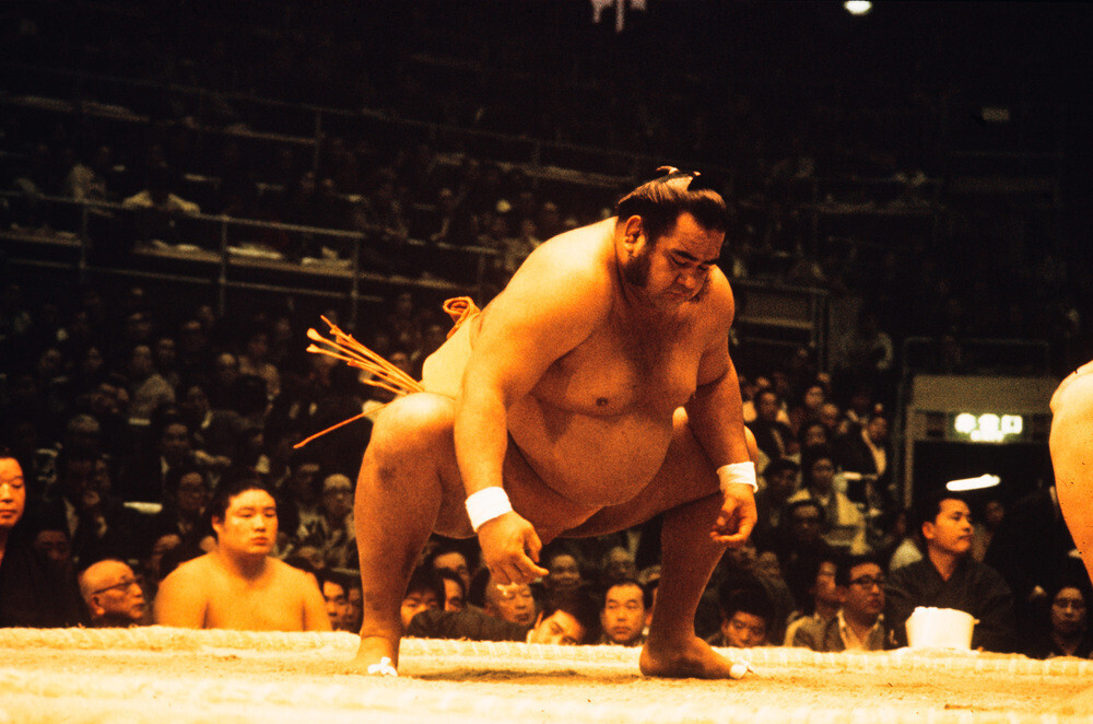 Сумо, Япония, фотограф Эд ван дер Элскен (5) / Фото / Камералабс