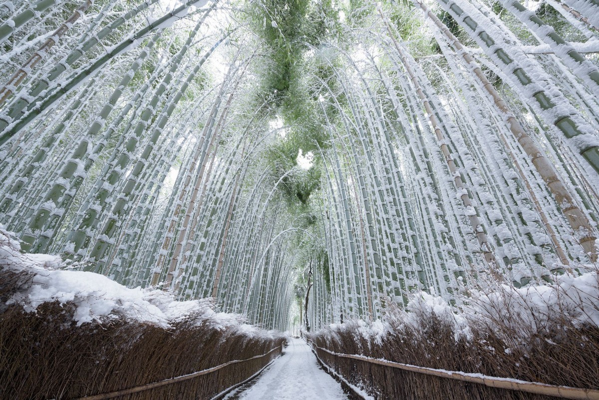 tiora - История фотографий