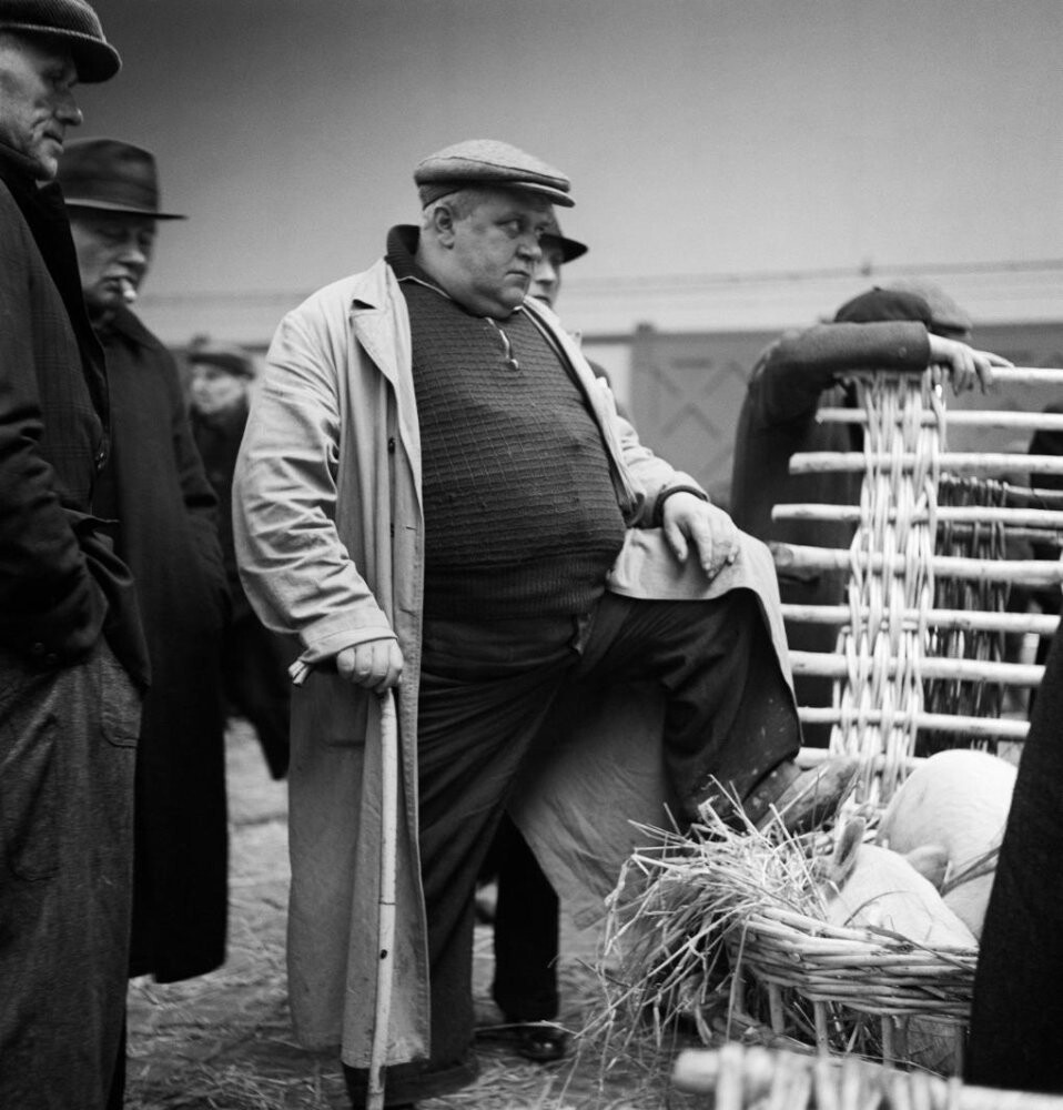 Рынок крупного рогатого скота, примерно 1950 год. Фотограф Мартин ...