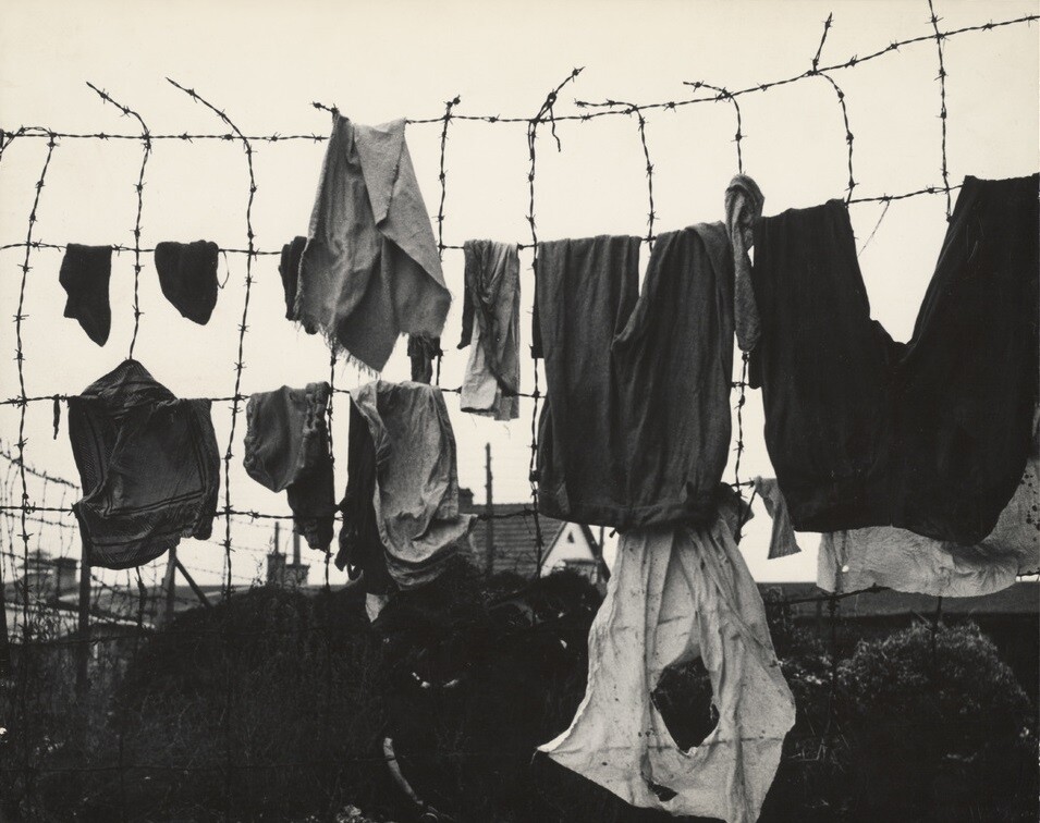 Лагерь для беженцев из Восточной Европы, Германия, 1953 год. Фотограф ...