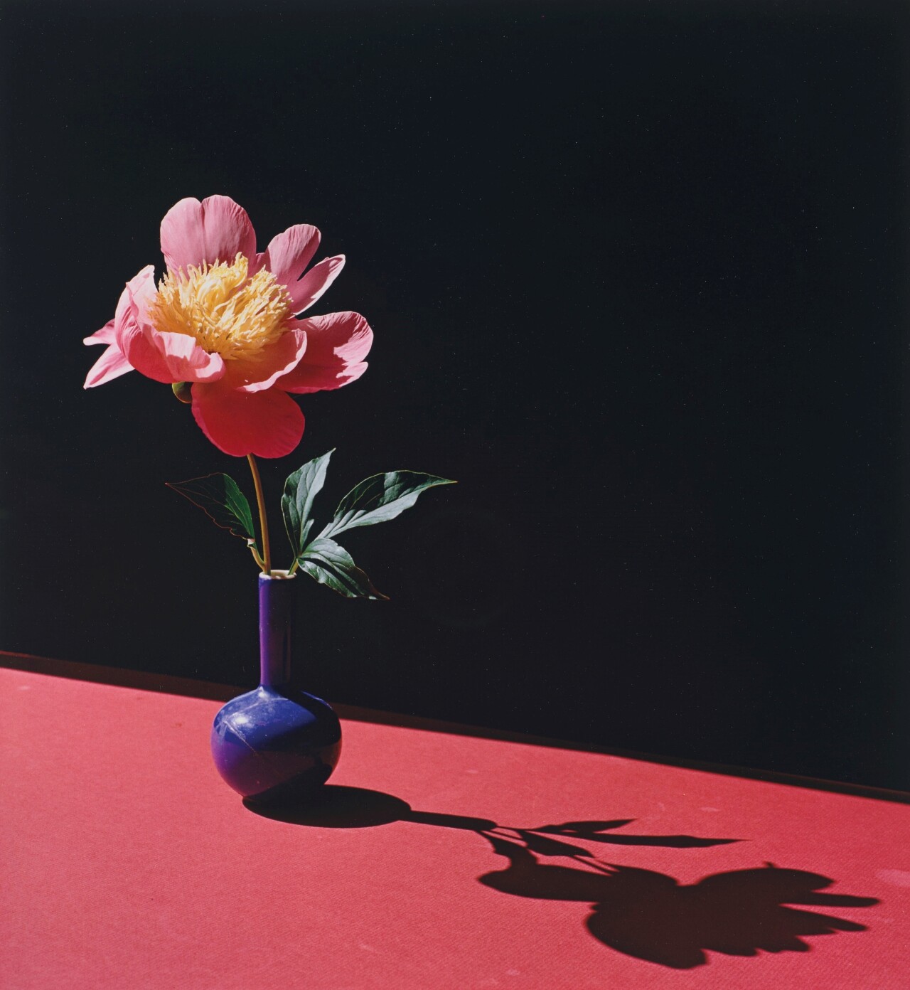 Horst P.Horst / Хорст П. Хорст – классик гламурного портрета и бог ...