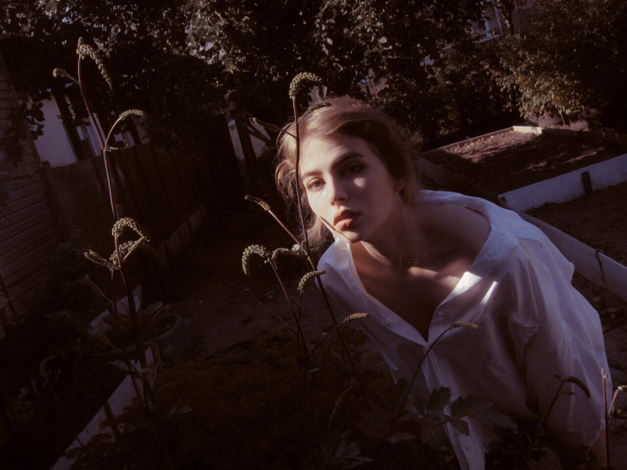 Eva.2022 (1) — Anika / Фото / Камералабс